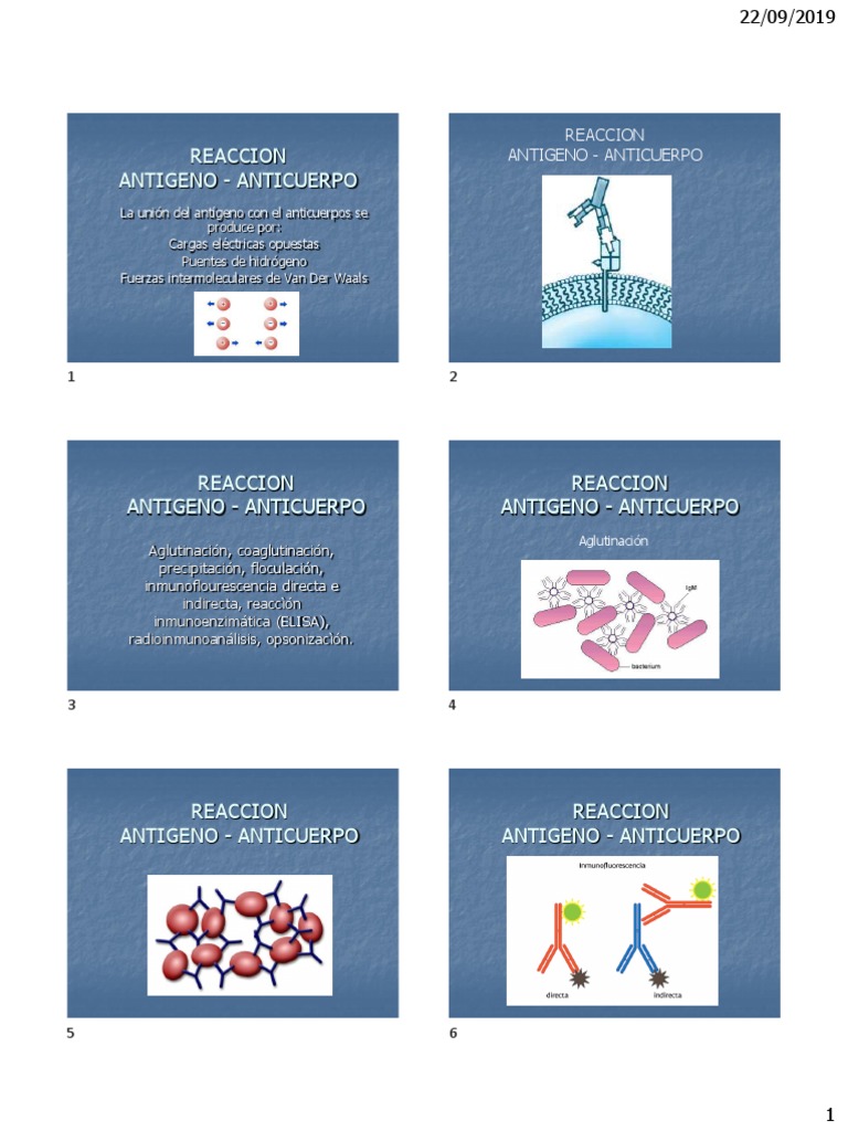 Sesion 14 - Reaccion Antigeno-Anticuerpo | PDF | Elisa | Anticuerpo
