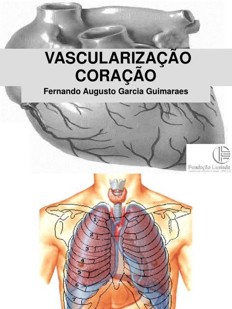 Vascularização Cardíaca e Drenagem Venosa | PDF