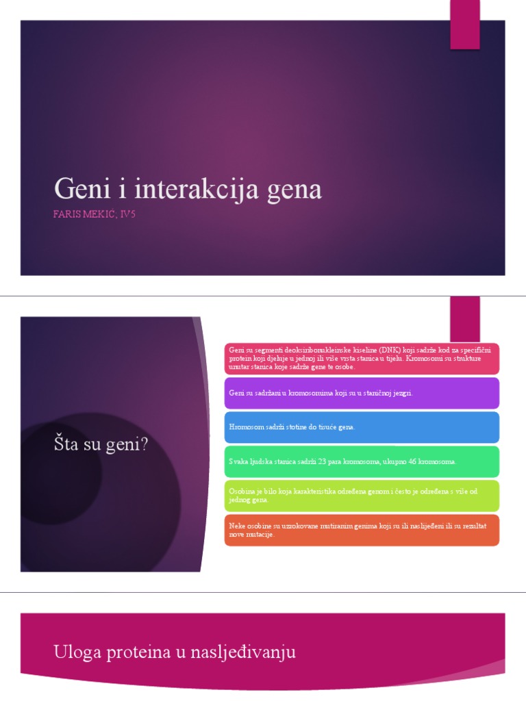 Geni I Interakcija Gena | PDF