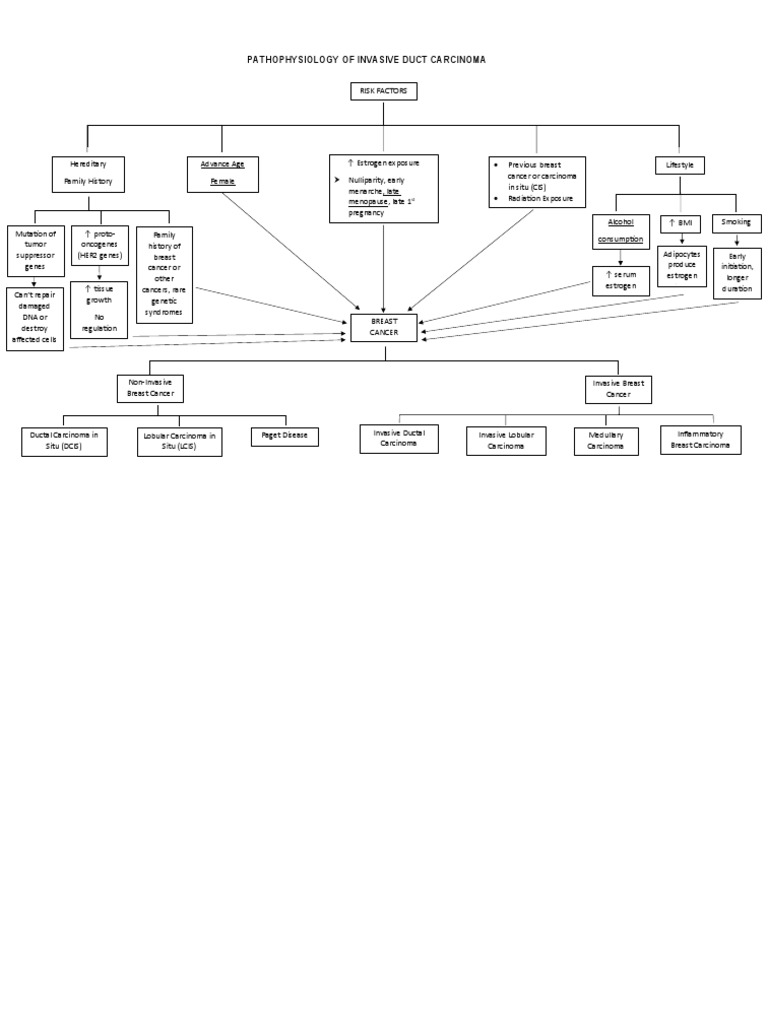 Patho of Invasive Duct Carcinoma | PDF | Cancer | Breast Cancer
