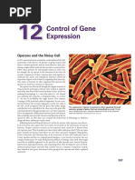 Visualization Using ChimeraX | PDF | Menu (Computing) | Computer File