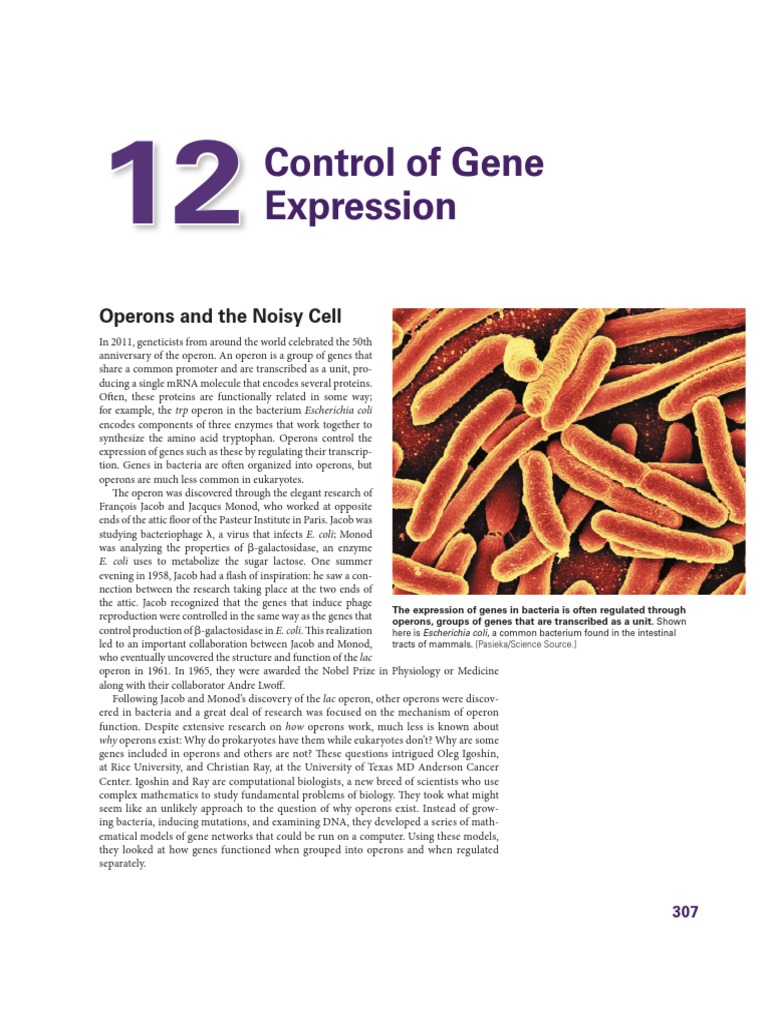 Lac Operon - Genetics-Essentials-Concepts-and-Connections | PDF ...