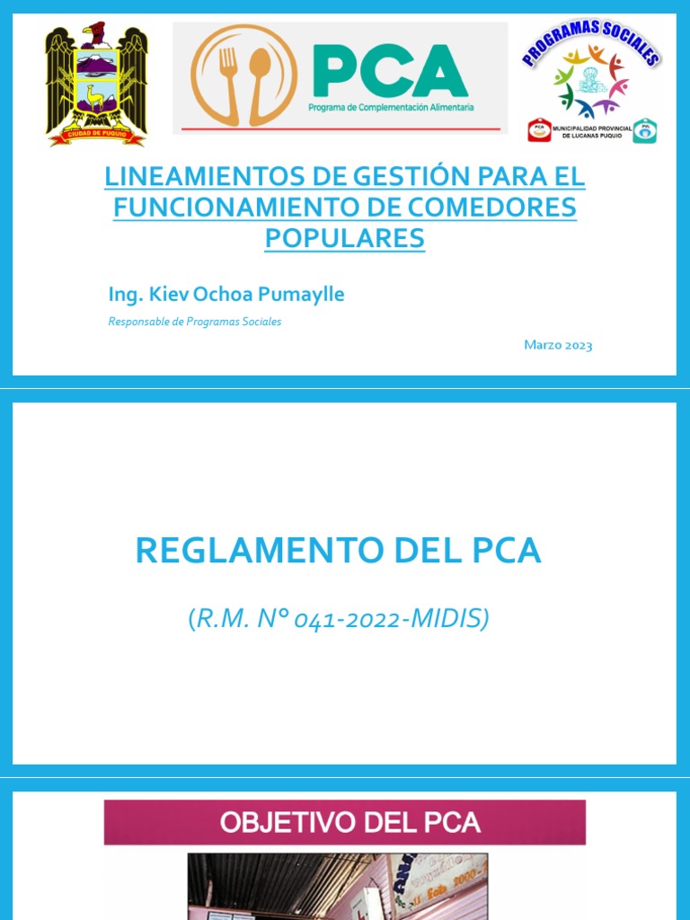 Capacitacion PCA 2023 | PDF