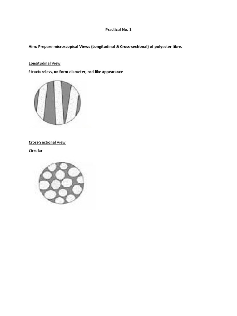 Practical No 1 Pdf