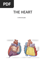 Pig Heart Dissection Manual STEM | PDF | Heart Valve | Atrium (Heart)