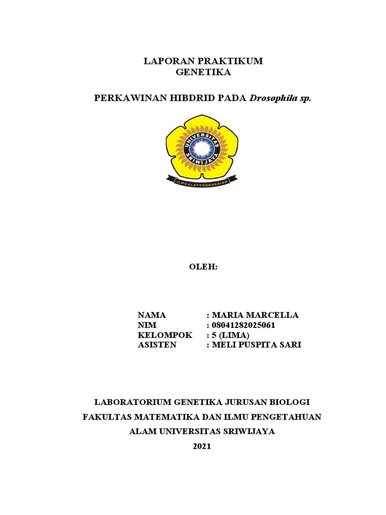 Laporan Praktikum Genetika Perkawinan Hibdrid Pada Drosophila SP | PDF