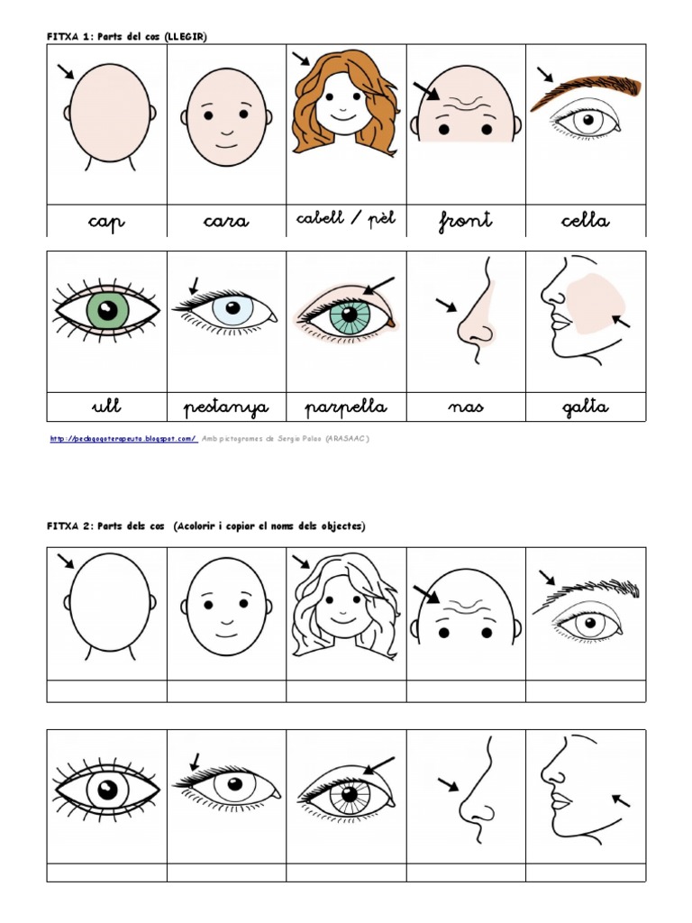 fITXA DE LECTURA Parts Del Cos ENLLAÇADA | PDF