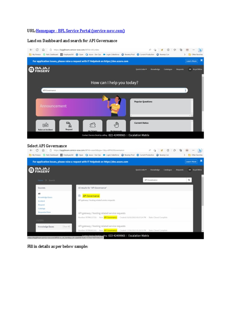BFL Service Portal API Governance Dashboard Search | PDF
