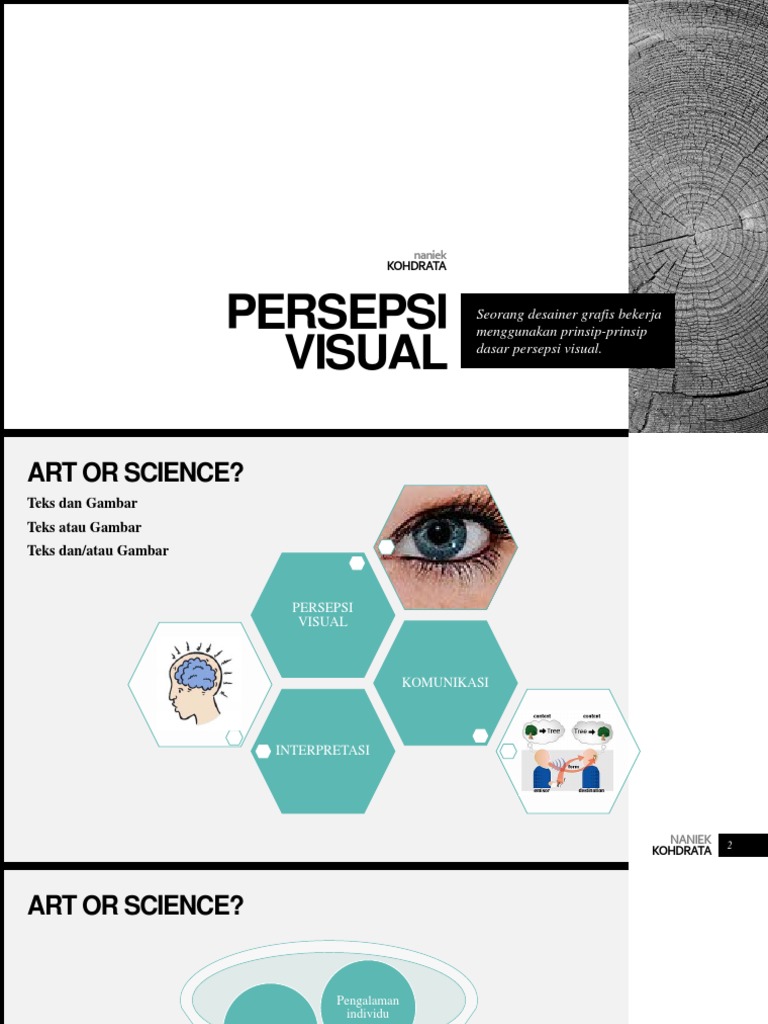 Persepsi Visual | PDF