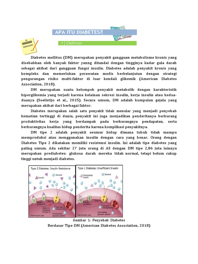 Memahami Diabetes Tipe 2 | PDF
