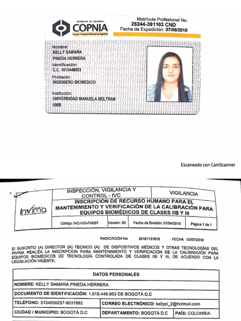 Tarjeta Profesional | PDF