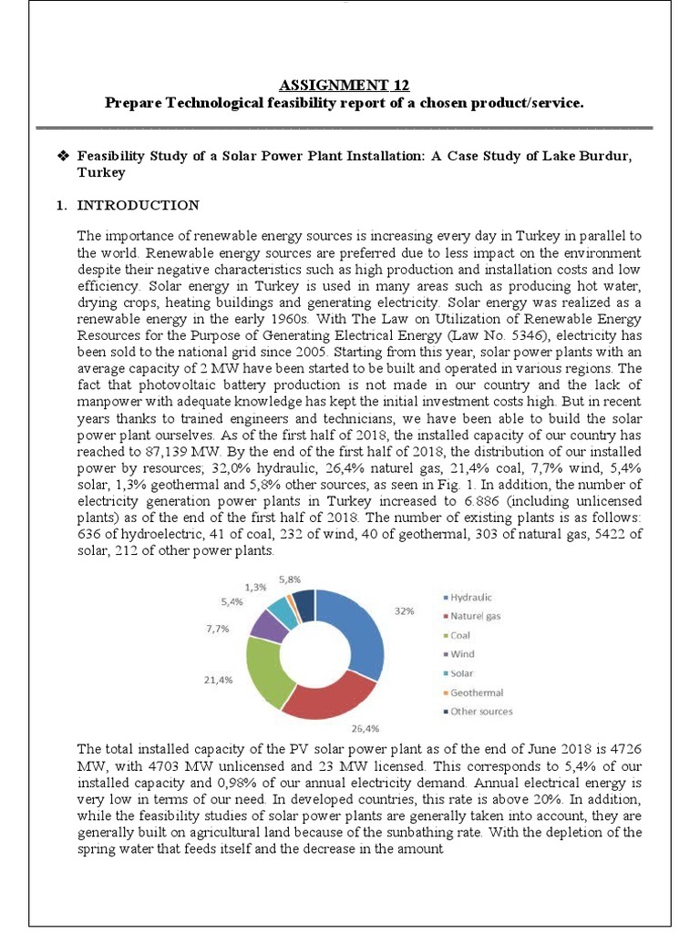 Assignment 12 Prepare Technological Feasibility Report of A Chosen Product/service. | PDF ...