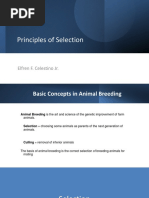 Mating Systems in Animal Breeding | PDF | Inbreeding | Breeding