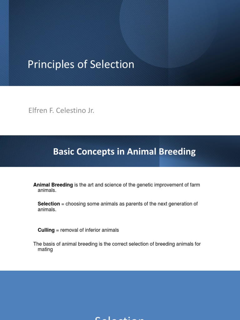 Animal Breeding Selection Guide | PDF | Heritability | Reproduction