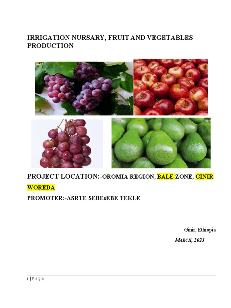 Irrigation Nursary, Fruit and Vegetables Production | PDF | Agriculture | Plant Nursery