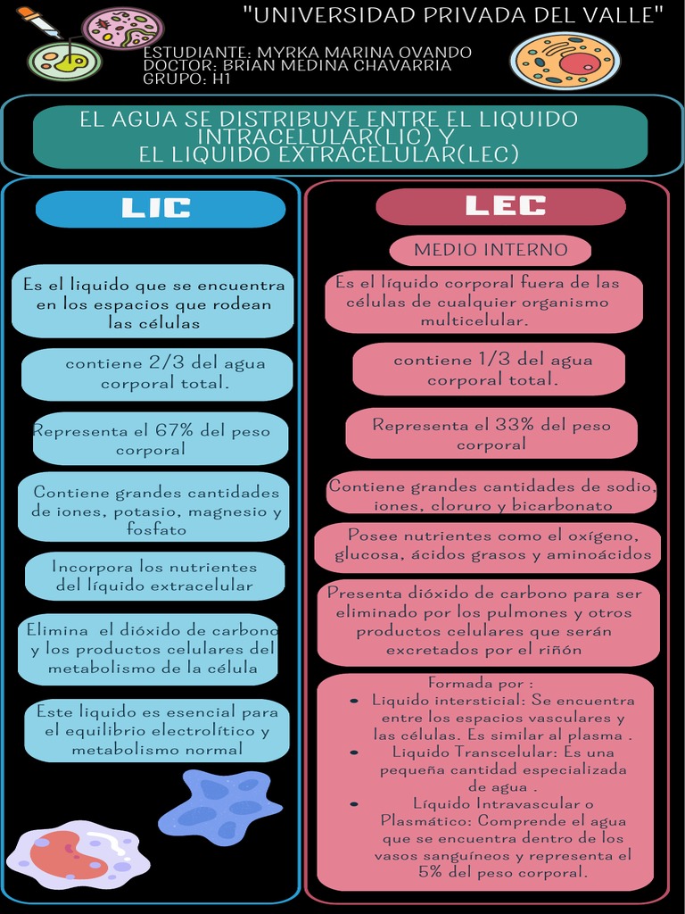 Infografia Comparativa Lic y Lec | PDF | Bioquímica | Química