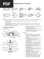 Oral Mechanism Exam PDF - 240927 - 224723 | PDF | Tongue | Mouth
