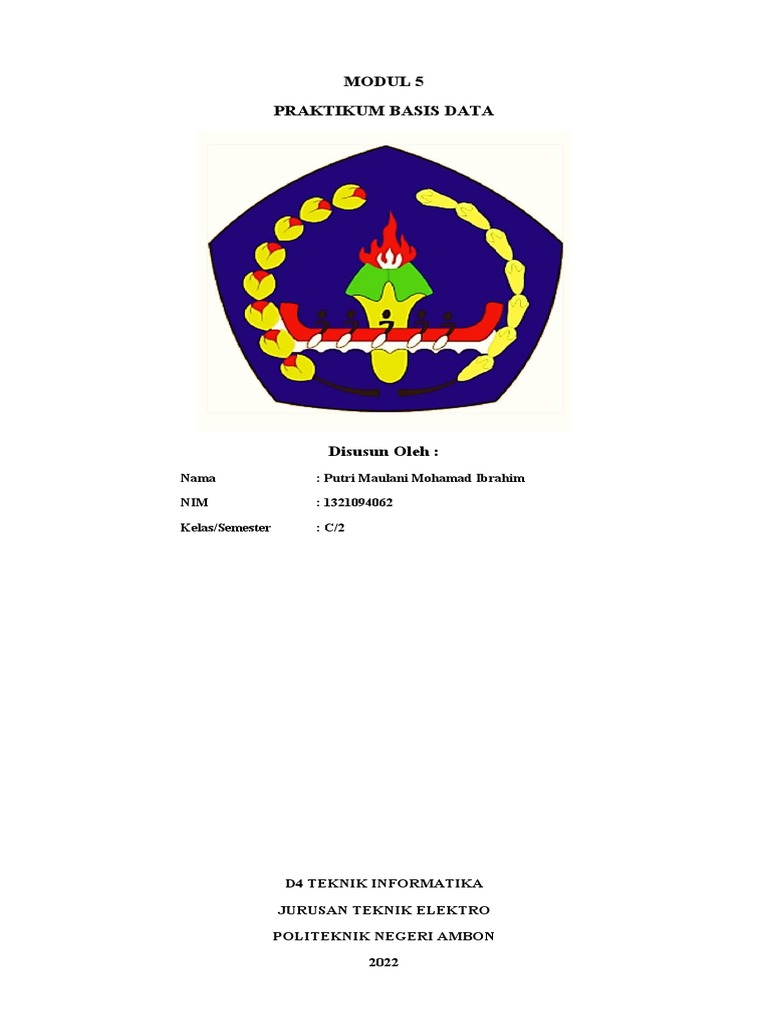 Database Manipulation Practicum | PDF