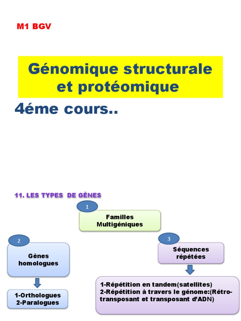 4éme Cours Génomique Structurale Et Protéomique | PDF | Gènome | Gène