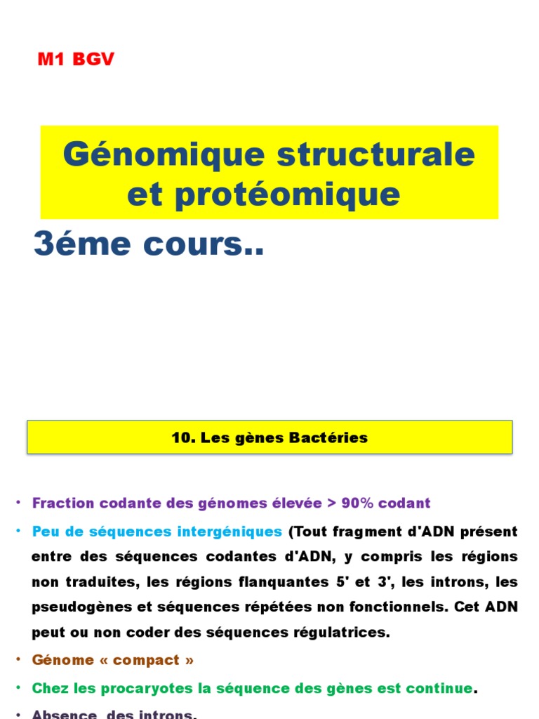 Schéma de l'opéron lactose | PDF | Opéron | Gène