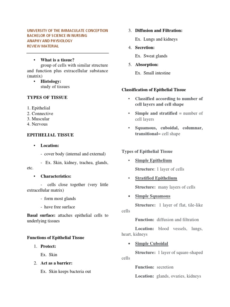 Anaphy and Physiology - Review Material | PDF | Epithelium | Bone
