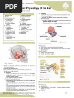 Sinuses Positioning Chart | PDF | Skull | Human Nose