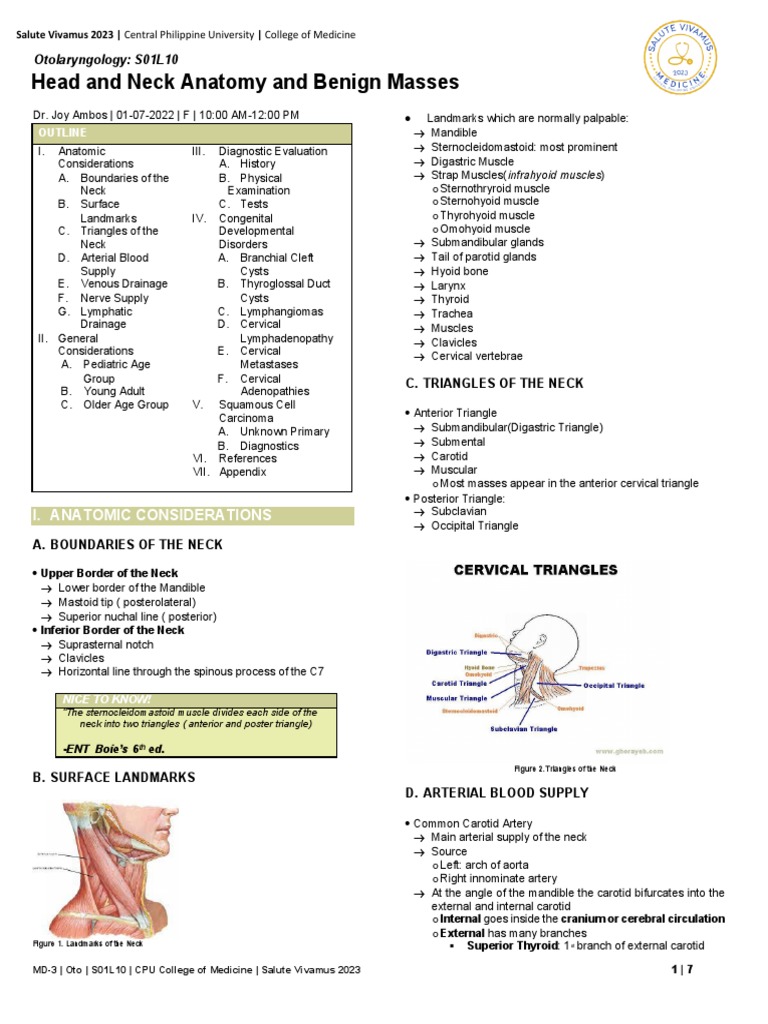 Trans SaVi Oto Lec 10 Head and Neck Anatomy and Benign Masses 1st Sem ...