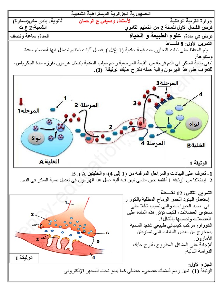 Line 2as Sciences | PDF