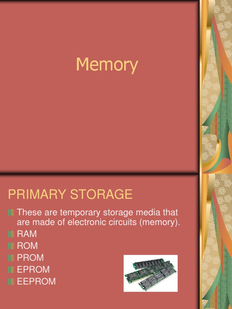 Primary Storage | PDF