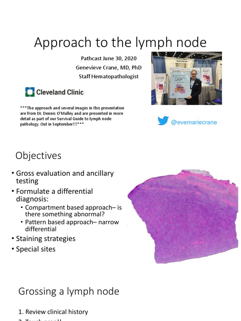 Lymph Node Pathology Approach Guide | PDF | Lymphoma | Lymphatic System