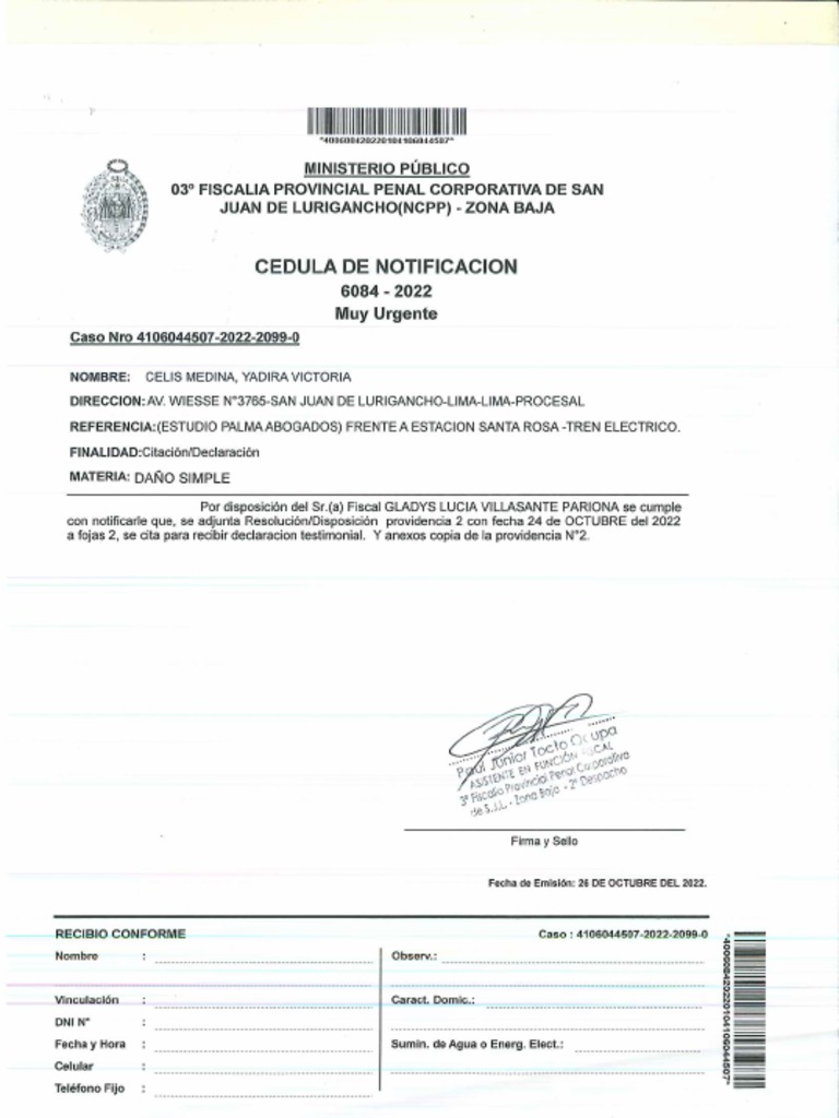 Declaración Testigo | PDF