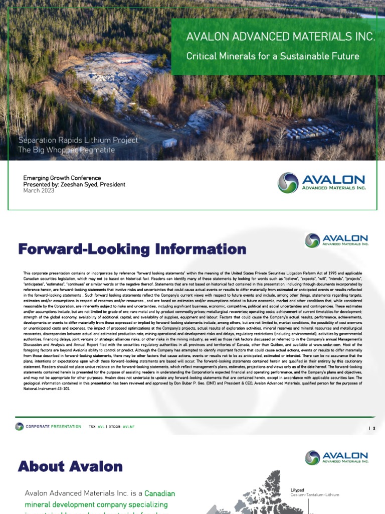 AVALON Corporate Presentation | PDF | Economies