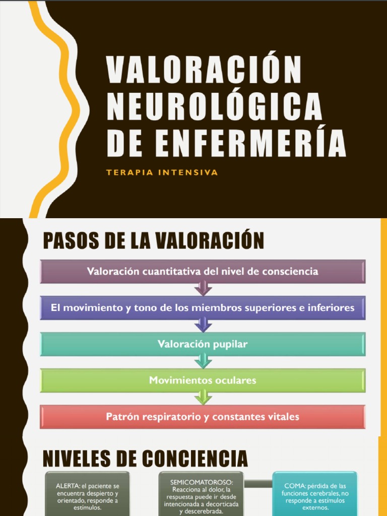 Valoracion Neurologica | PDF