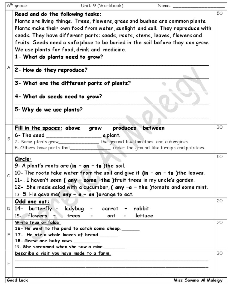 6th Grade Unit 9 (Workbook) | PDF | Plants | Tomato