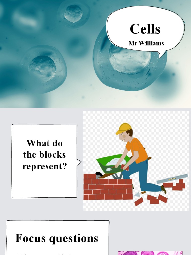 Cells Lesson Plan | PDF