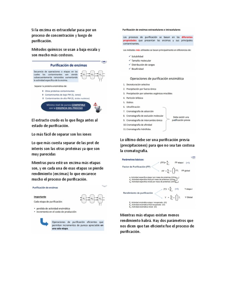 UNIDAD 1 Biocatálisis | PDF | Enzima | Sitio activo