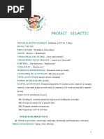 Proiect Didactic - Familia Mea, Gradinita | PDF