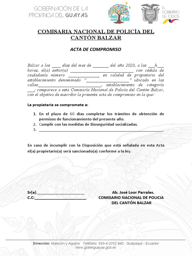 Acta de Compromiso Formato | PDF