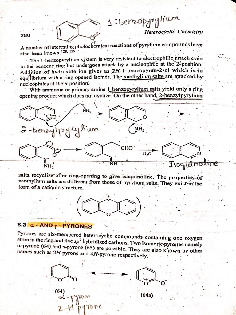 Pyrones | PDF