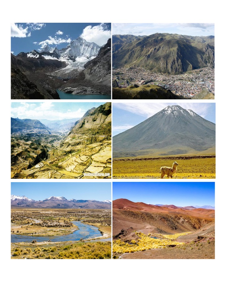 Fauna Flora Region Yunga Puna Gallito de Las Rocas | PDF