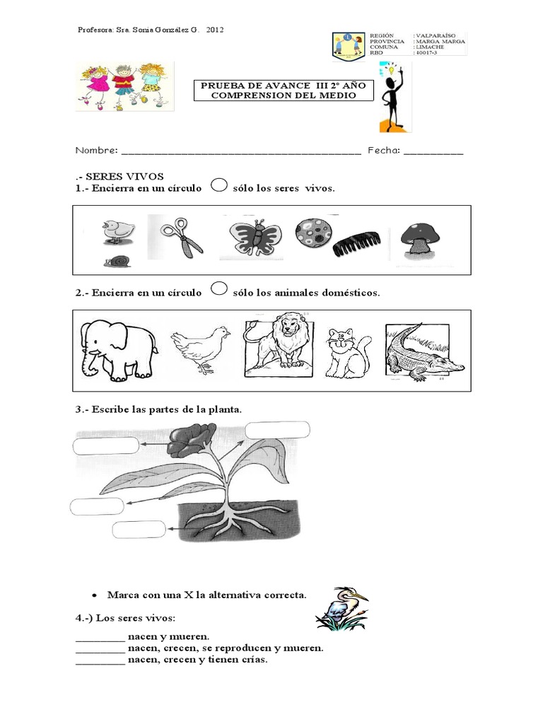 Prueba de Avance Comprension Del Medio Ciencias 2° Basico | PDF | Chile ...