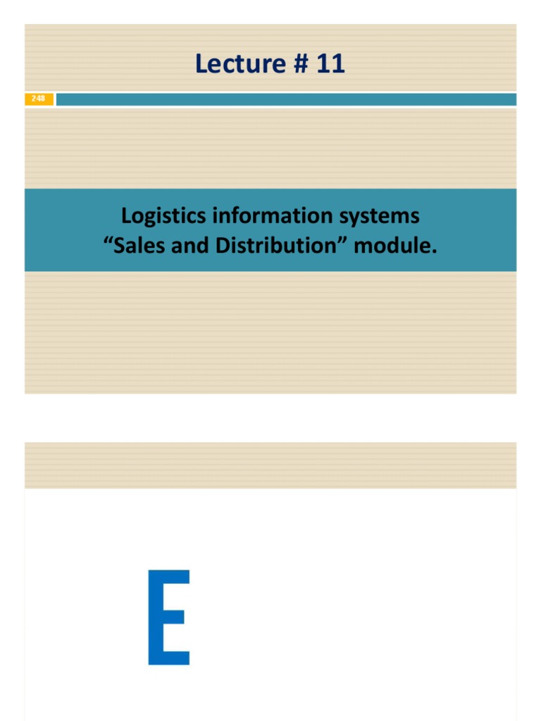 11 - Logistics Information Systems "Sales and Distribution" Module ...