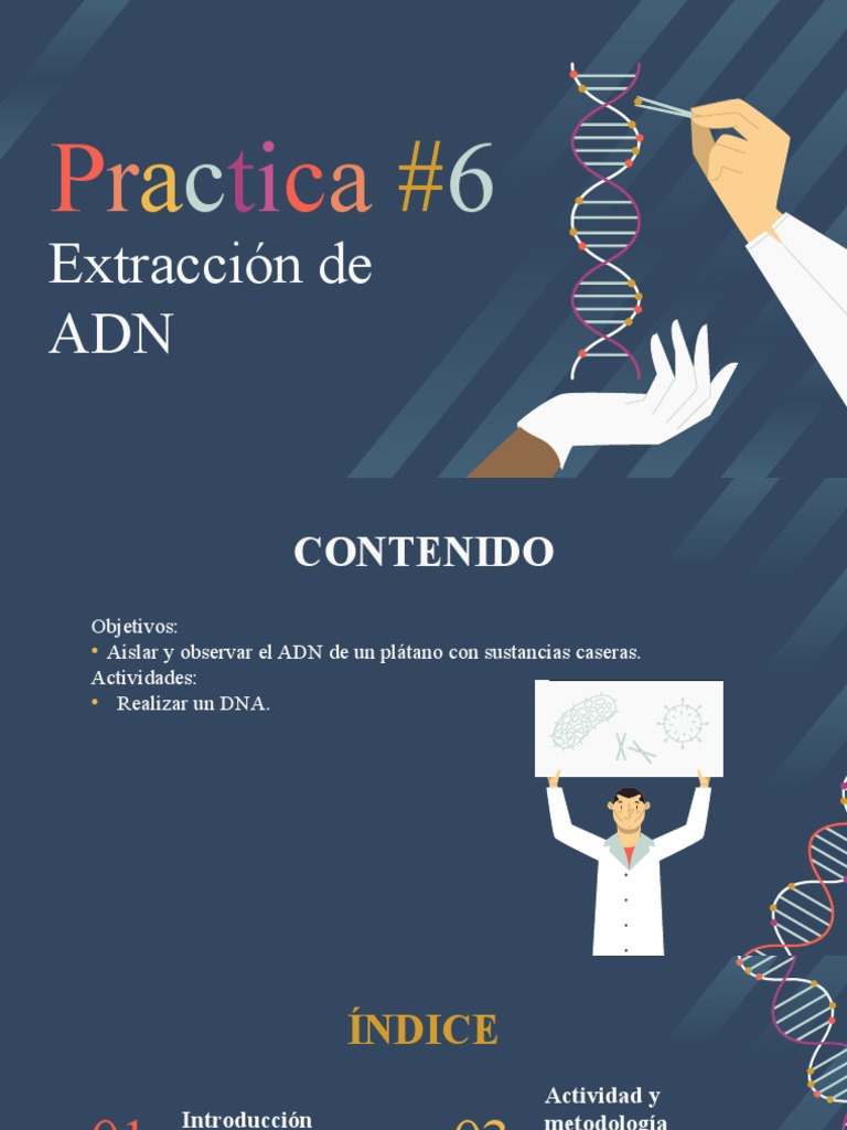 Practica 6 - Extracción de Adn | PDF | Ciencias fisicas | Química