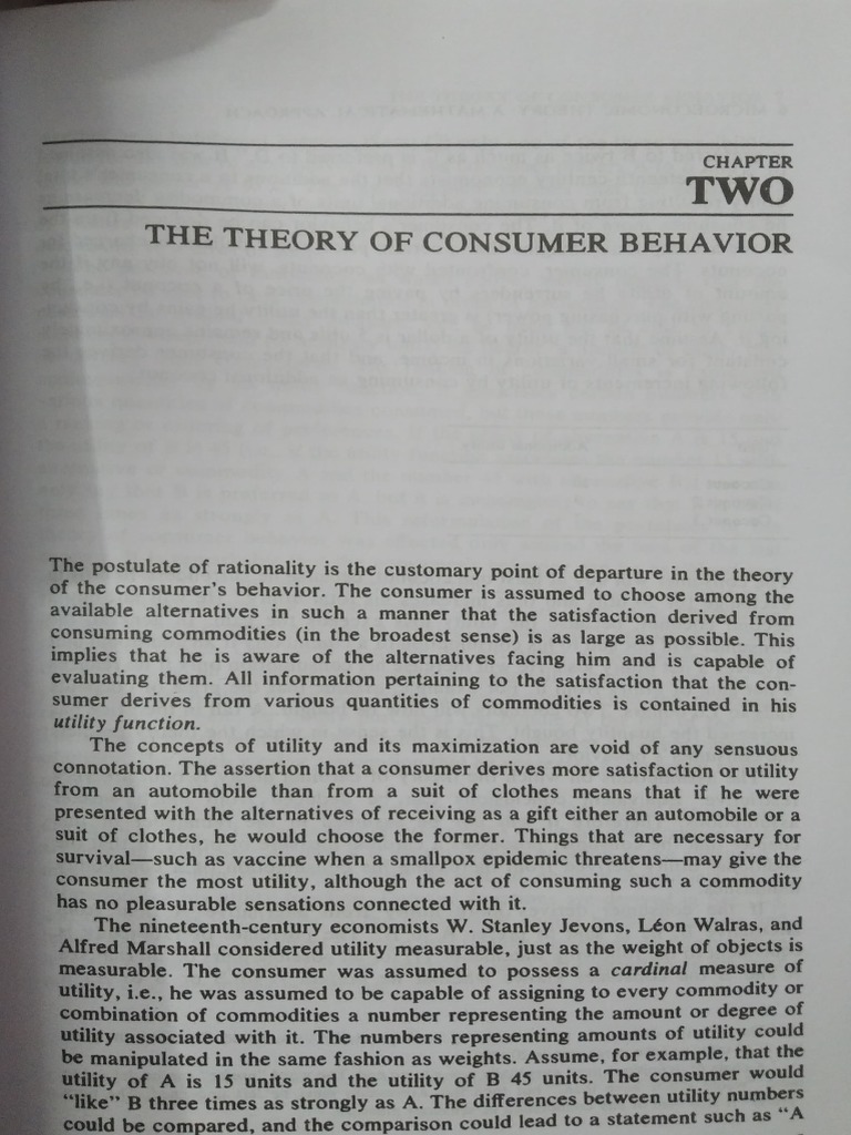Theory of Consumer Behavior (Unit 2+3) | PDF