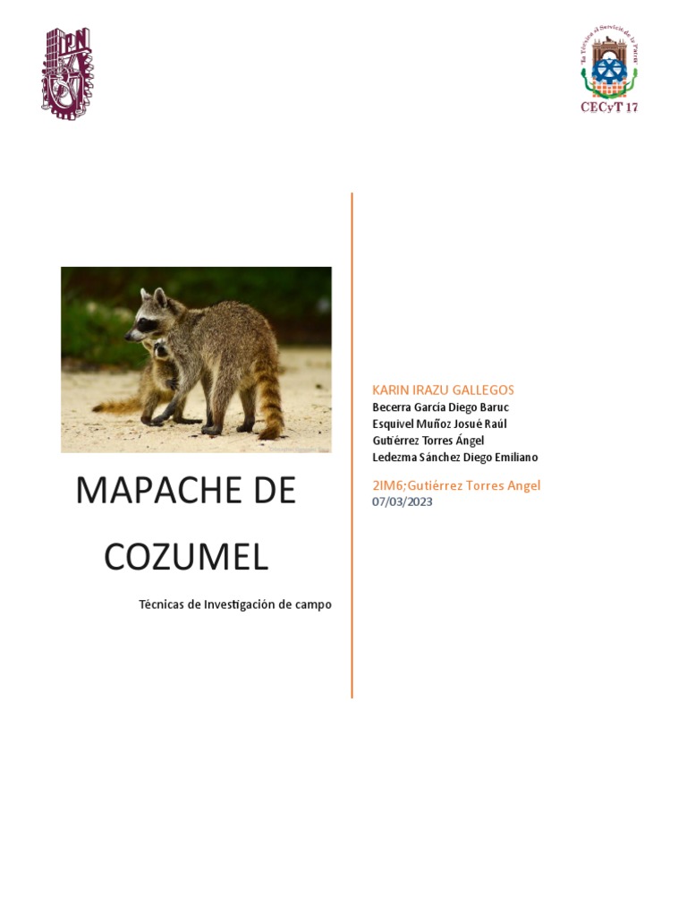 Mapache de Cozumel | PDF | Mapache | Especies introducidas