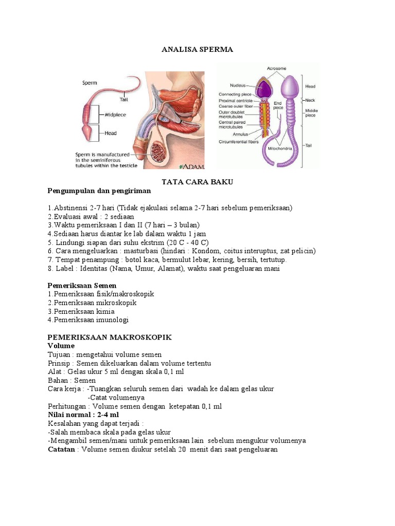 ANALISA SPERMA - DR - Guruh | PDF
