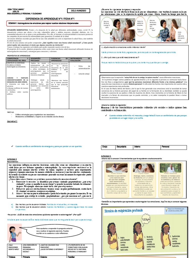 Resuelto | PDF | Las emociones | Autorregulación emocional