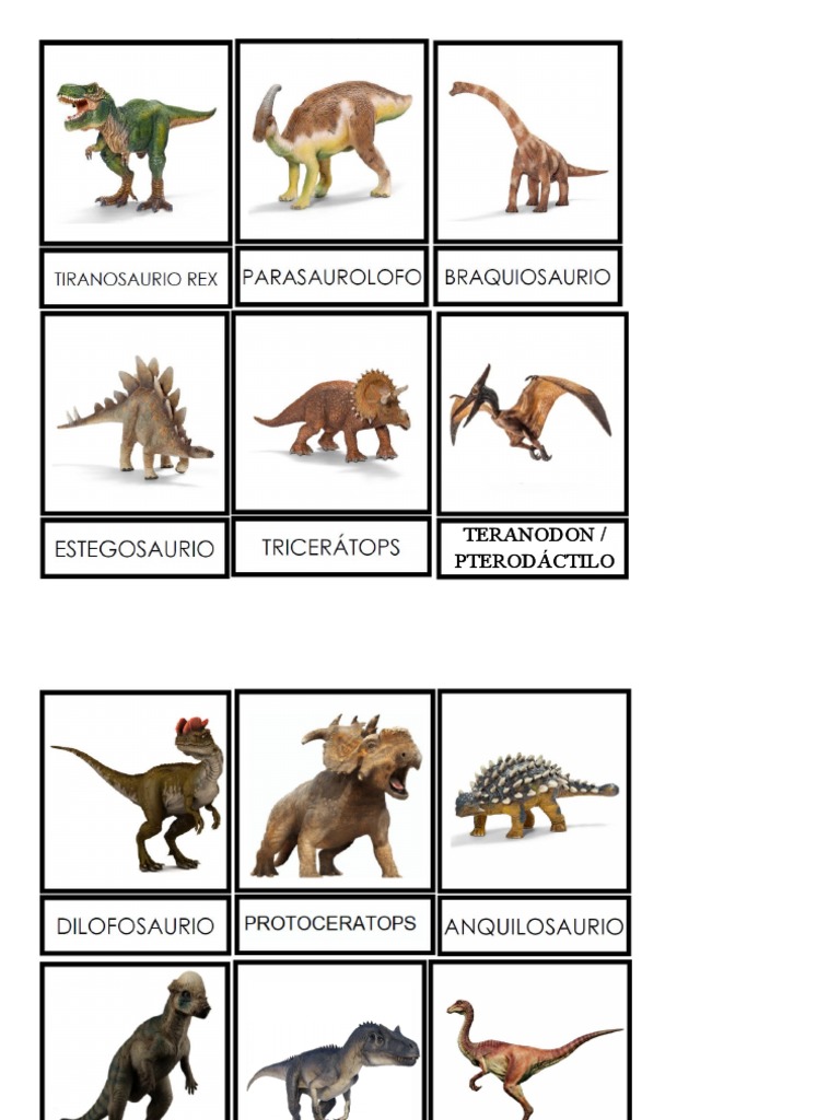 Flashcards Dinosaurios | PDF