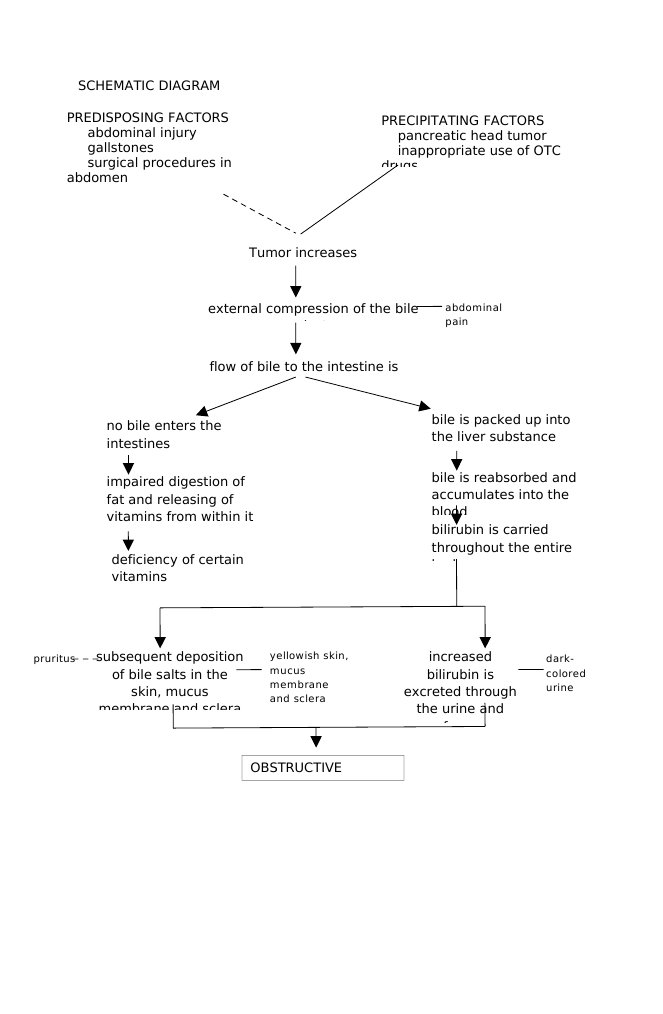 SCHEMATIC DIAGRAM Obstructive Jaundice
