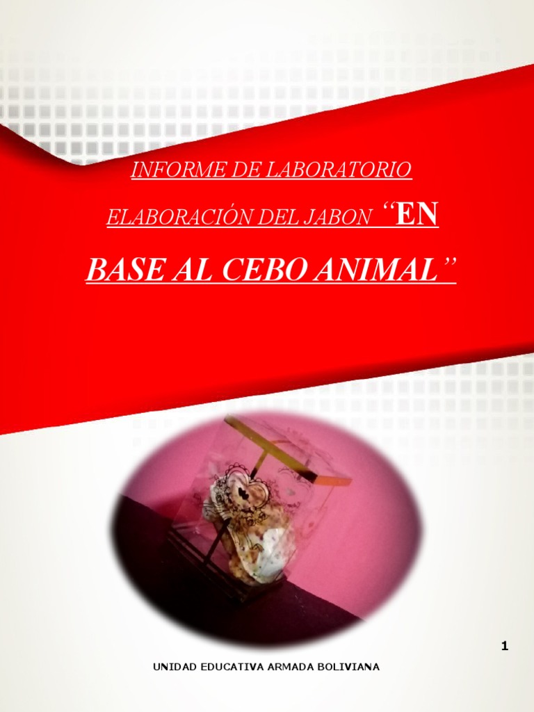 Cebo | PDF | Hidróxido de sodio | Etanol